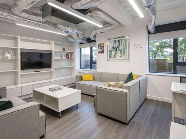 Studio to rent