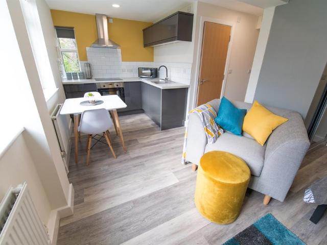 Studio to rent