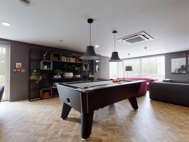 Studio to rent