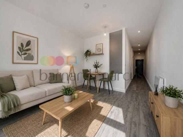 Studio to rent