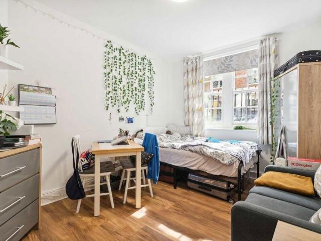 Studio to rent
