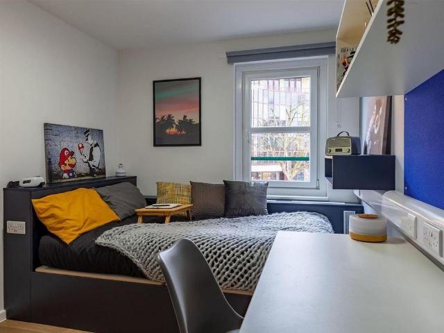 Studio to rent