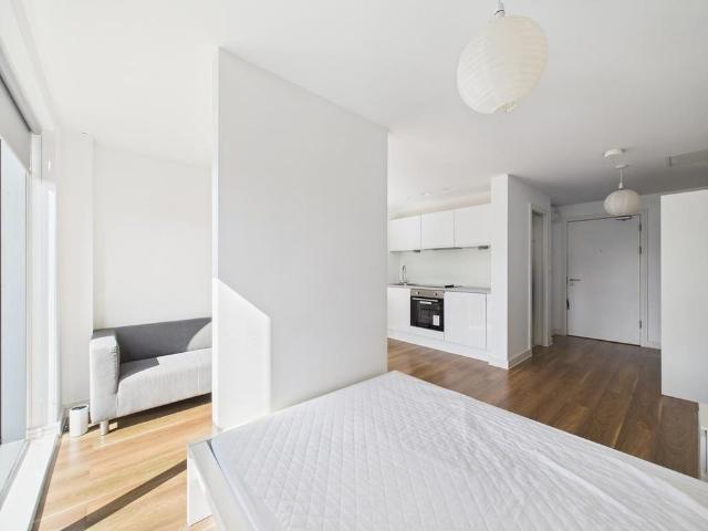 Studio to rent