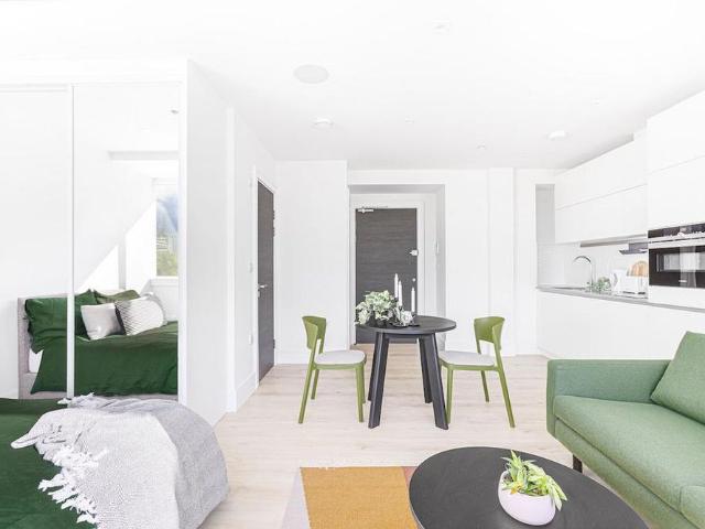 Studio to rent