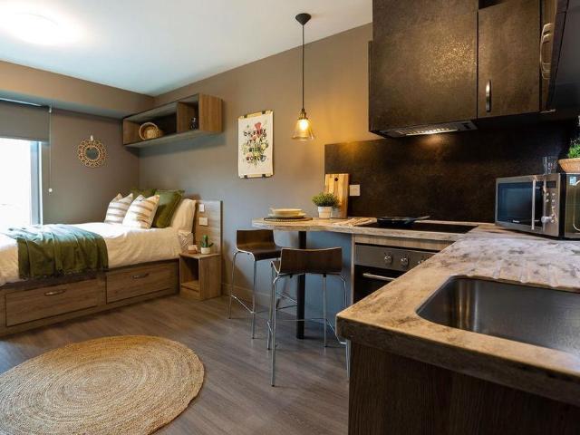 Studio to rent