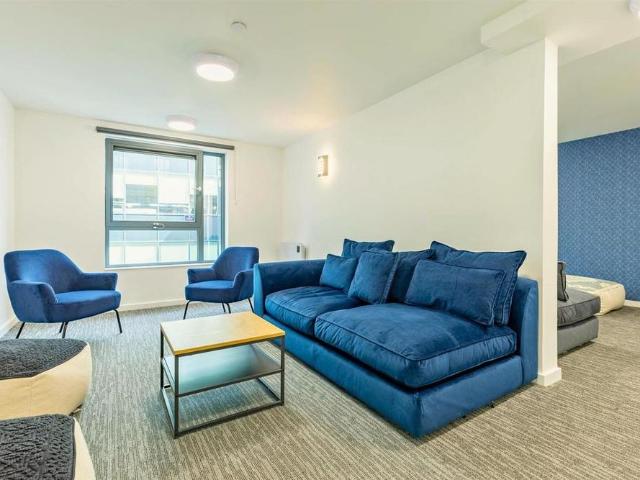 Studio to rent