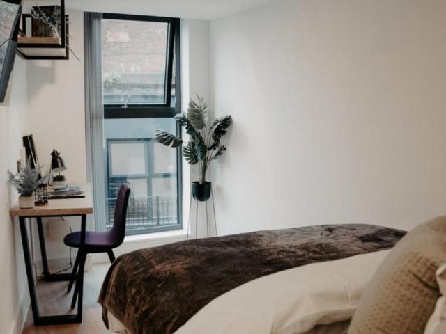 Studio to rent