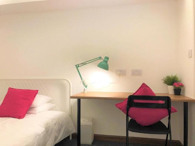 Studio to rent