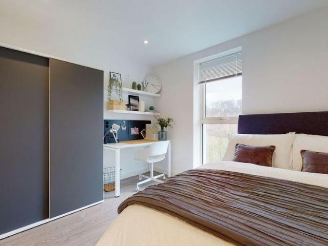 Studio to rent
