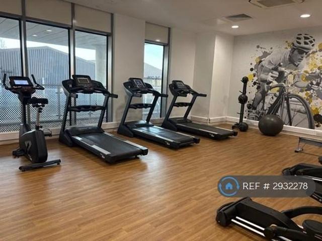 Studio to rent