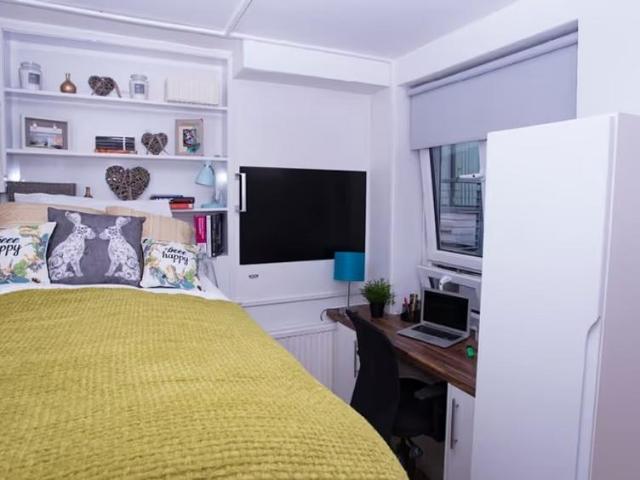 Studio to rent
