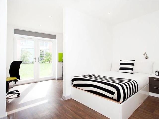 Studio to rent