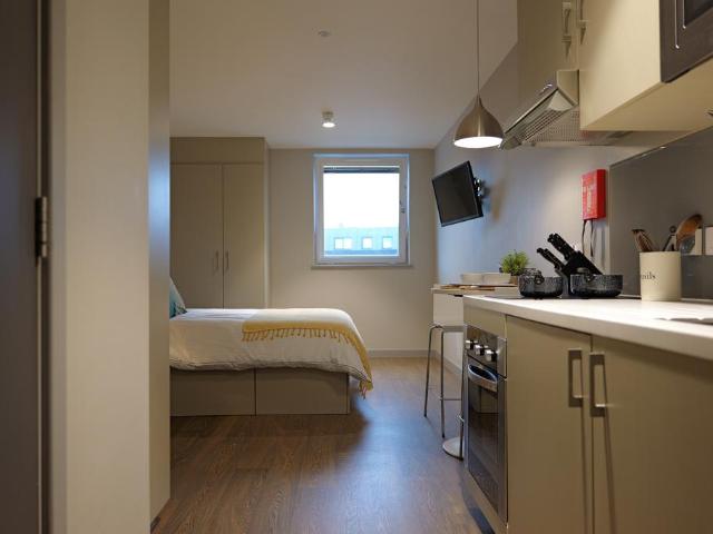 Studio to rent