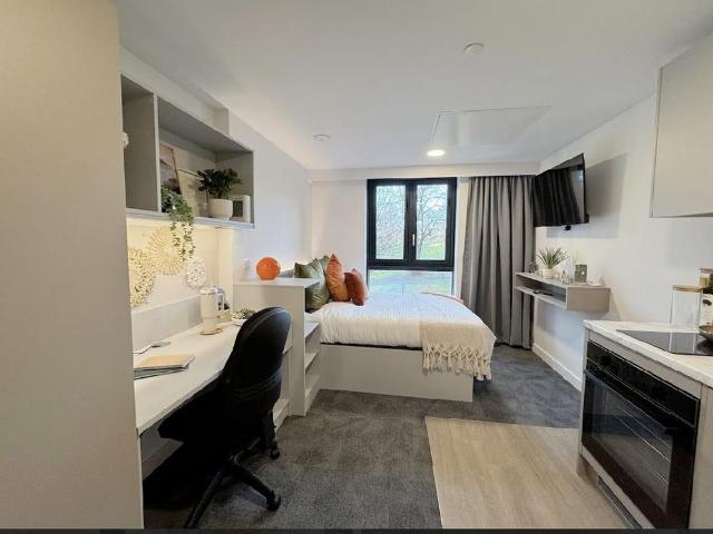 Studio to rent