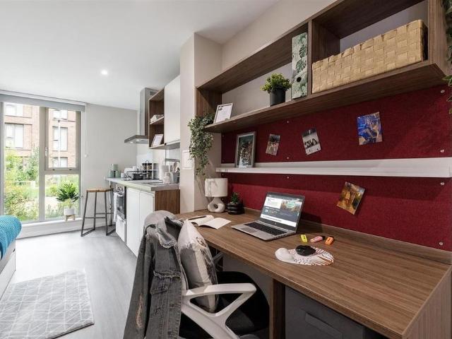Studio to rent