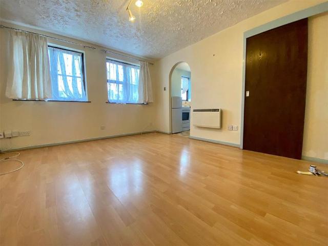 Studio to rent