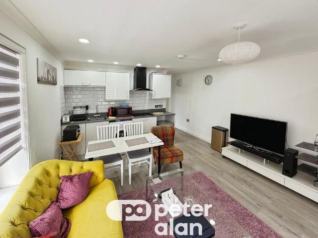 Studio to rent