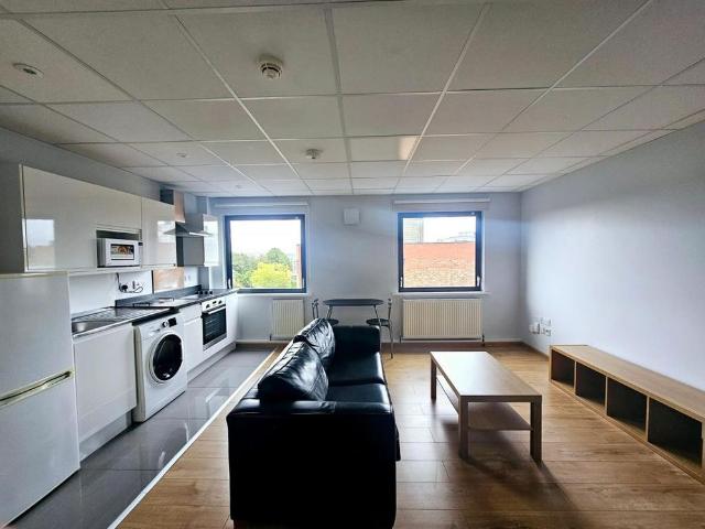 Studio to rent