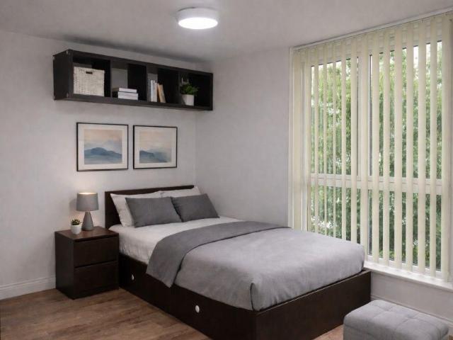 Studio to rent