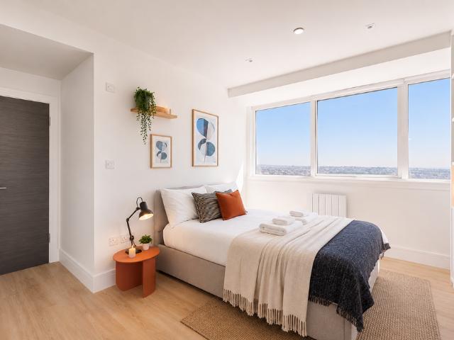 Studio to rent