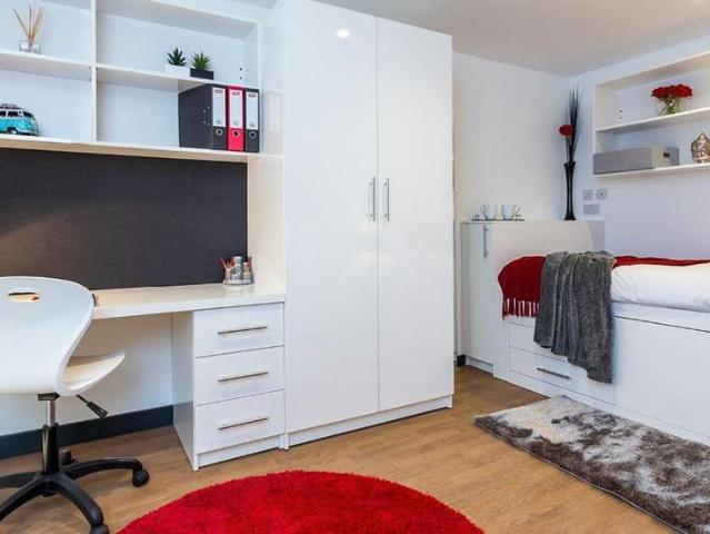 Studio to rent