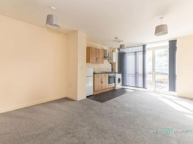 Studio to rent