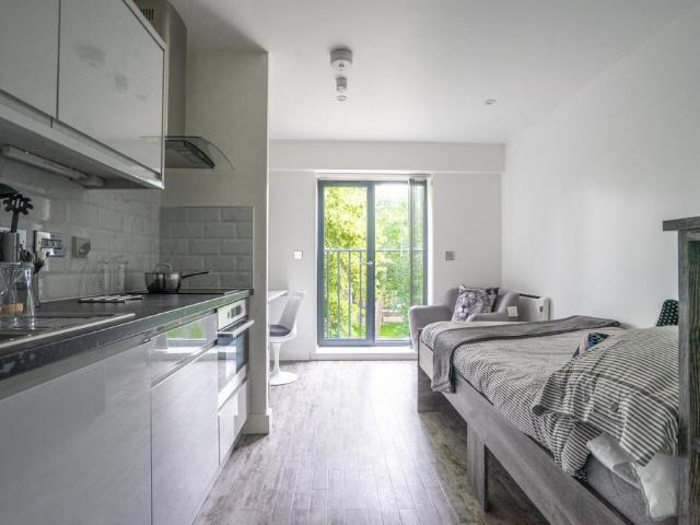 Studio to rent