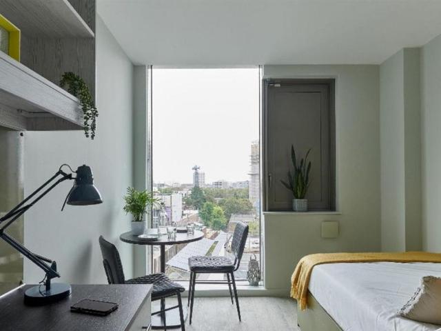 Studio to rent