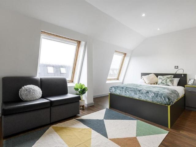 Studio to rent
