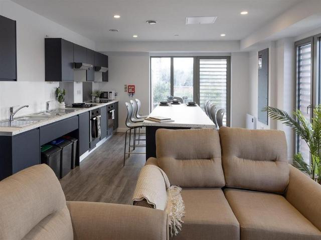 Studio to rent