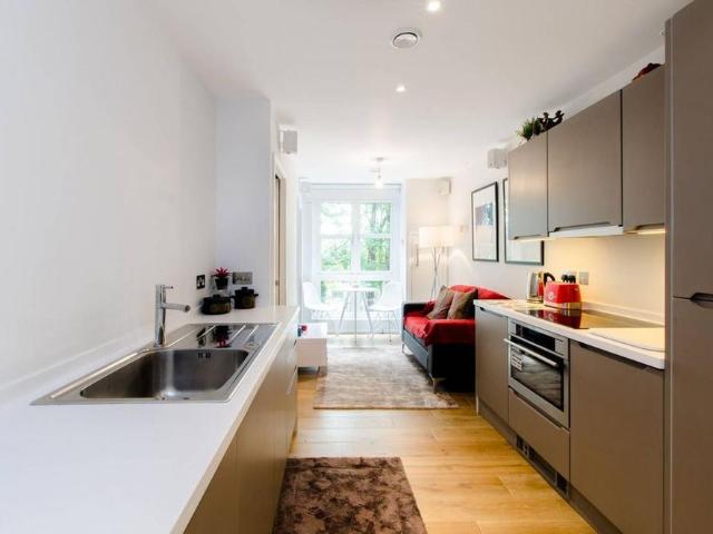 Studio to rent