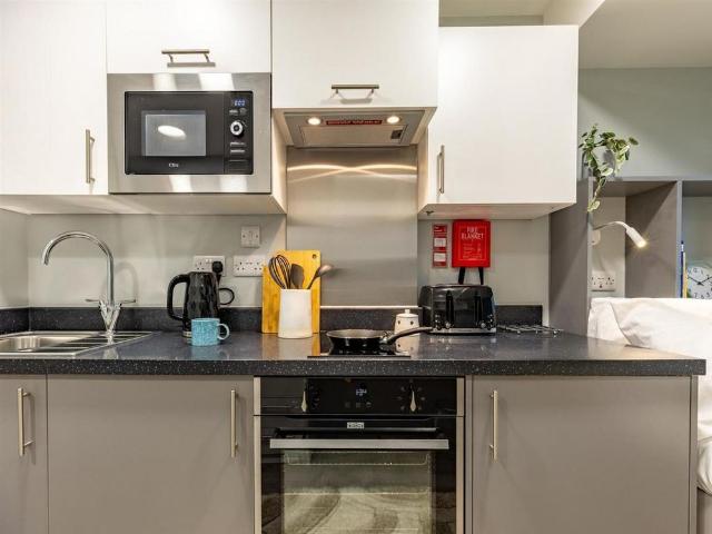 Studio to rent