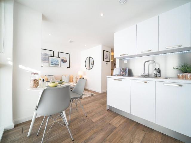 Studio to rent