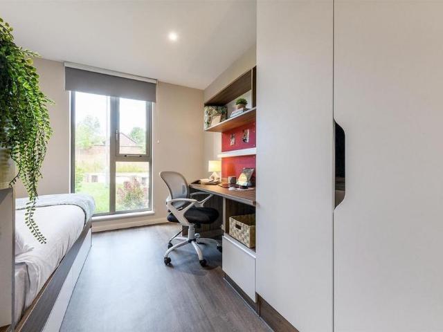 Studio to rent