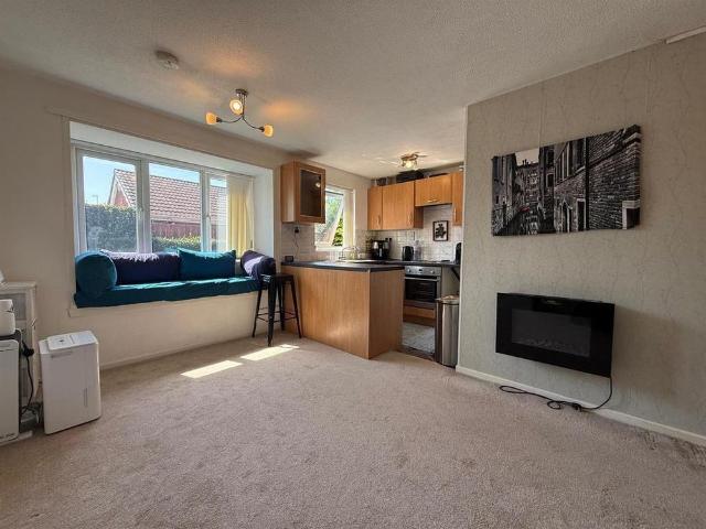 Studio to rent