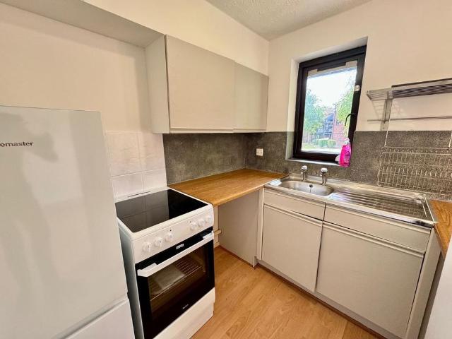 Studio to rent