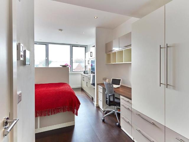 Studio to rent