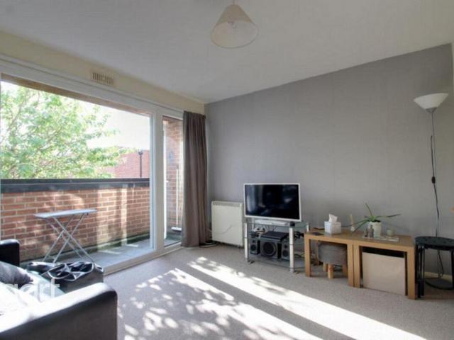 Studio to rent