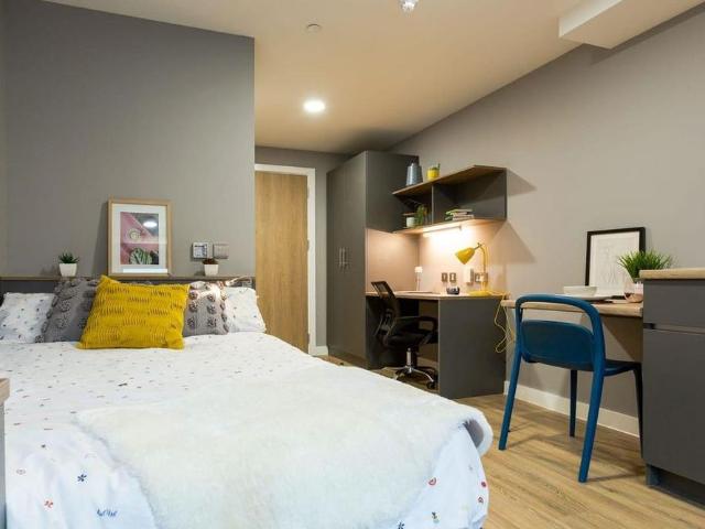 Studio to rent