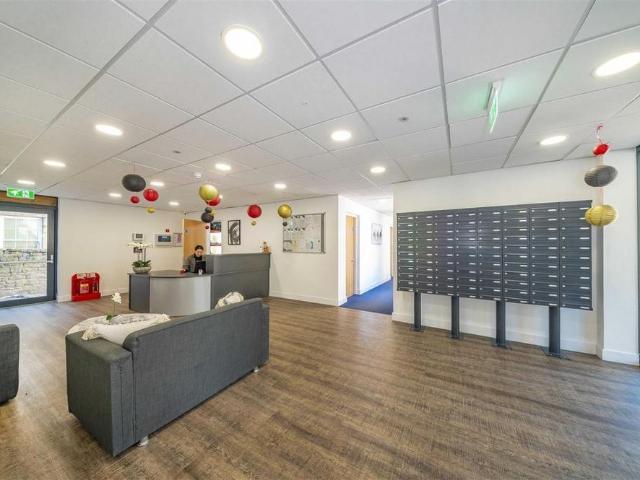 Studio to rent