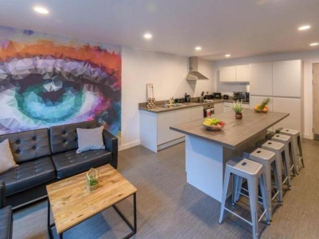 Studio to rent