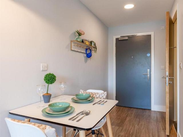 Studio to rent