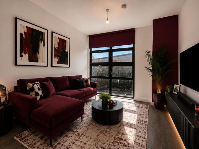 Studio to rent