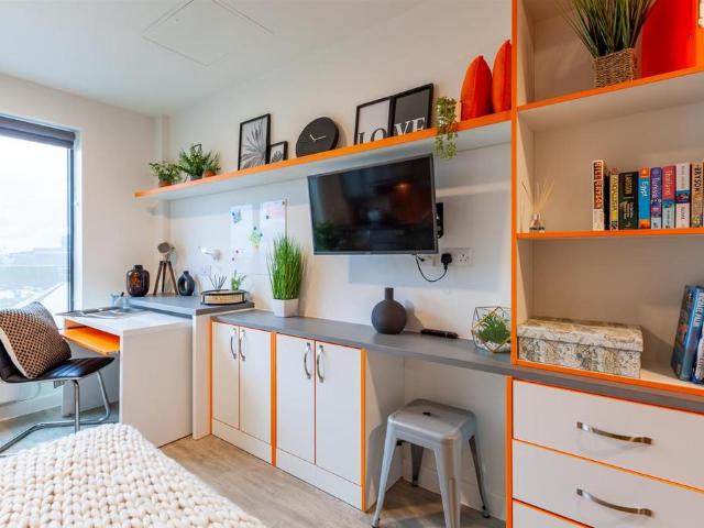 Studio to rent