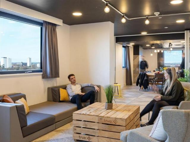 Studio to rent