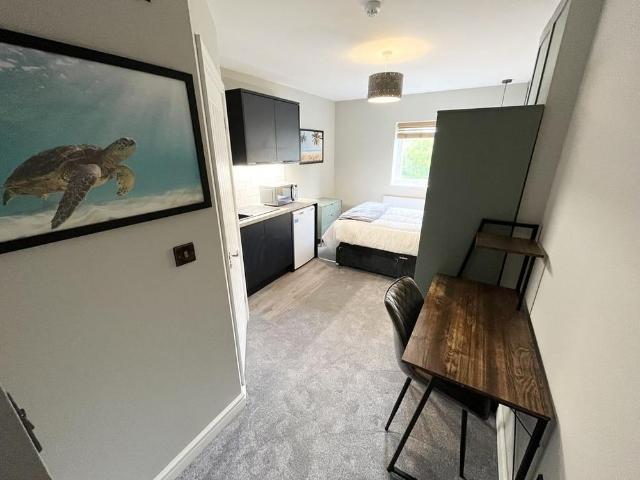Studio to rent