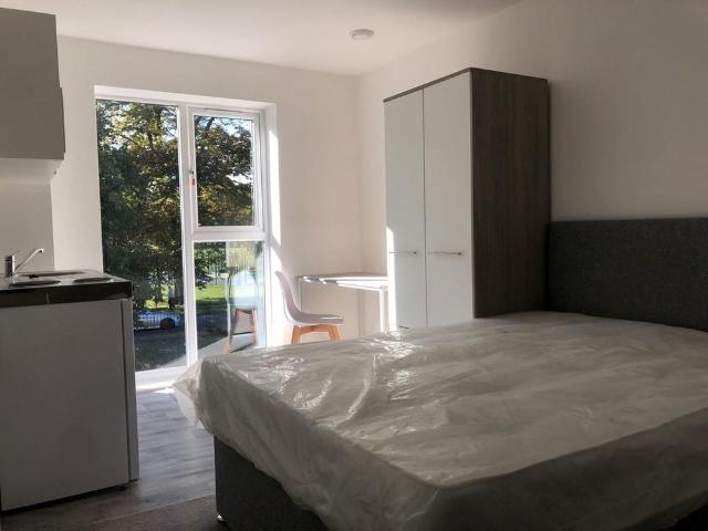 Studio to rent