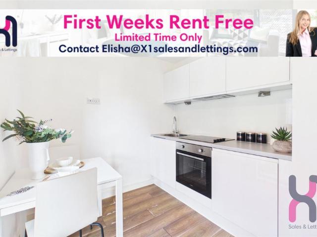 Studio to rent