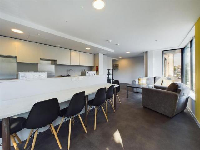 Studio to rent