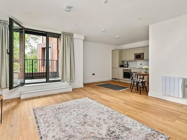 Studio to rent